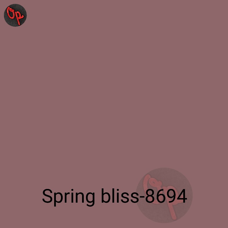 Asian Paints Ace Exterior Emulsion 8694 Price