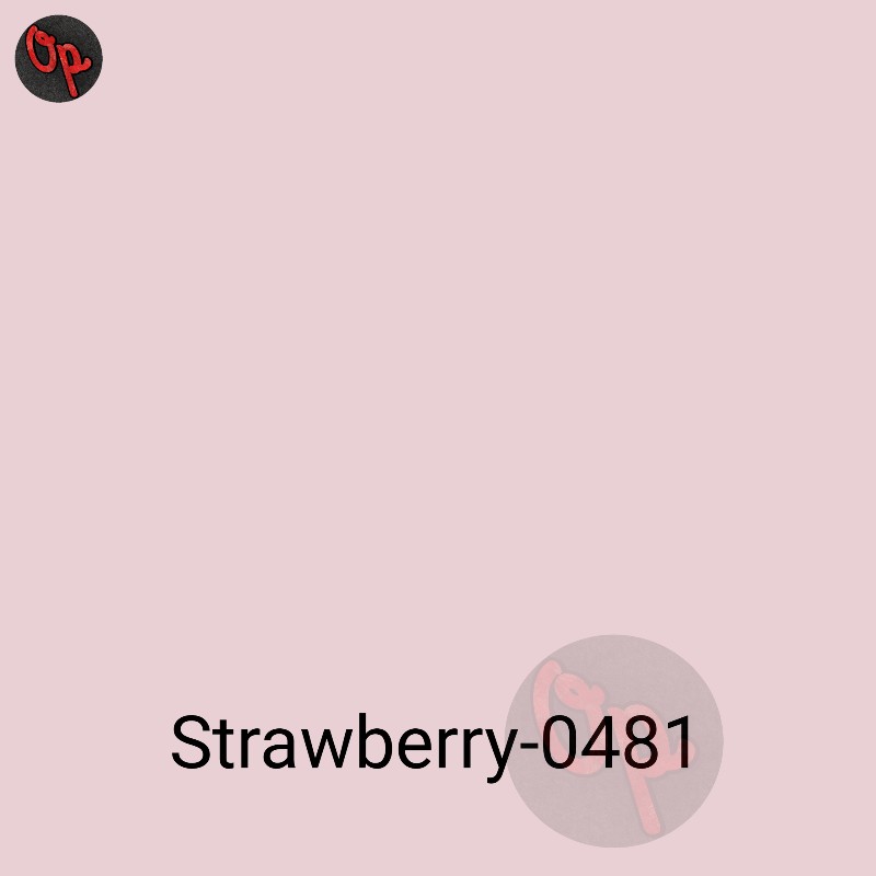 Asian Paints Ace Exterior Emulsion 0481 Price