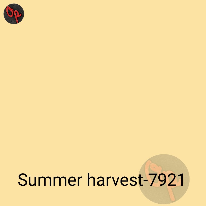 Asian Paints Ace Advanced Exterior Emulsion 7921 Price